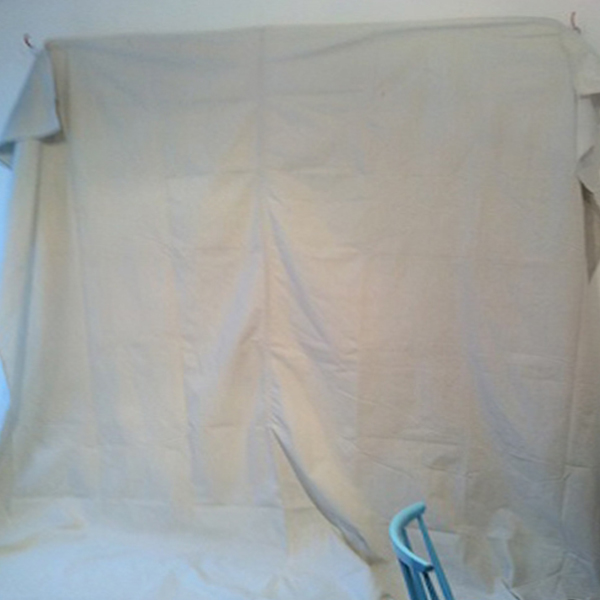 Buy Top Quality Cotton Canvas Dust Sheets Heavy Duty